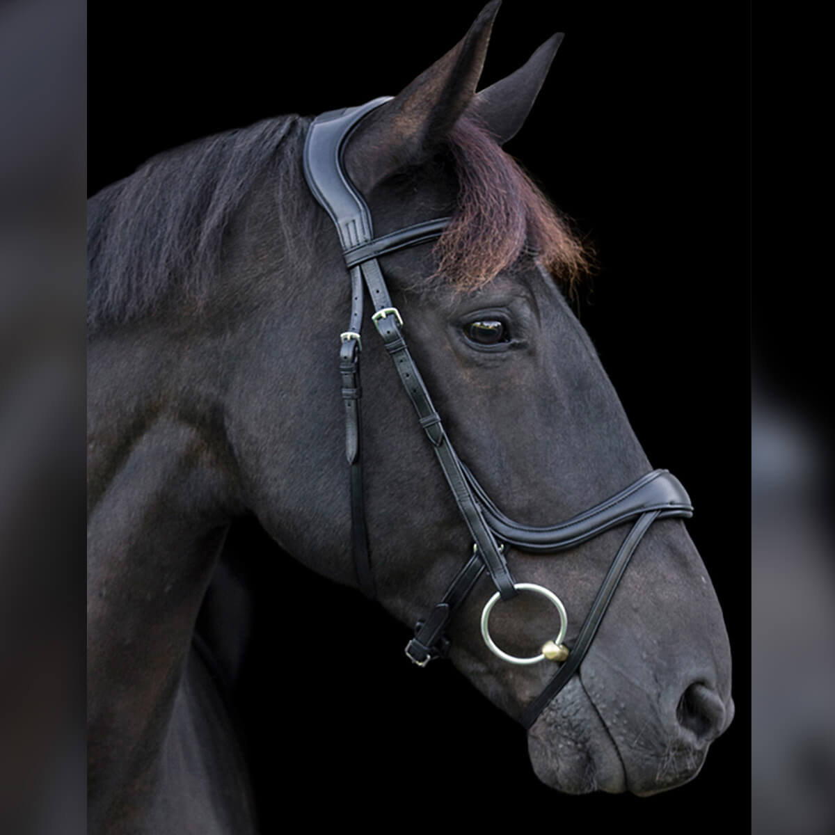 Eco Rider Ecosoft Enigma Bridle - Black – The Elms Equestrian